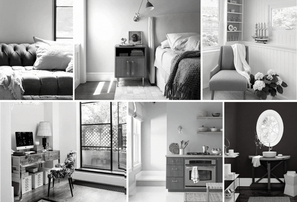Benjamin Moore Color Trends Rewind| Clement's Paint