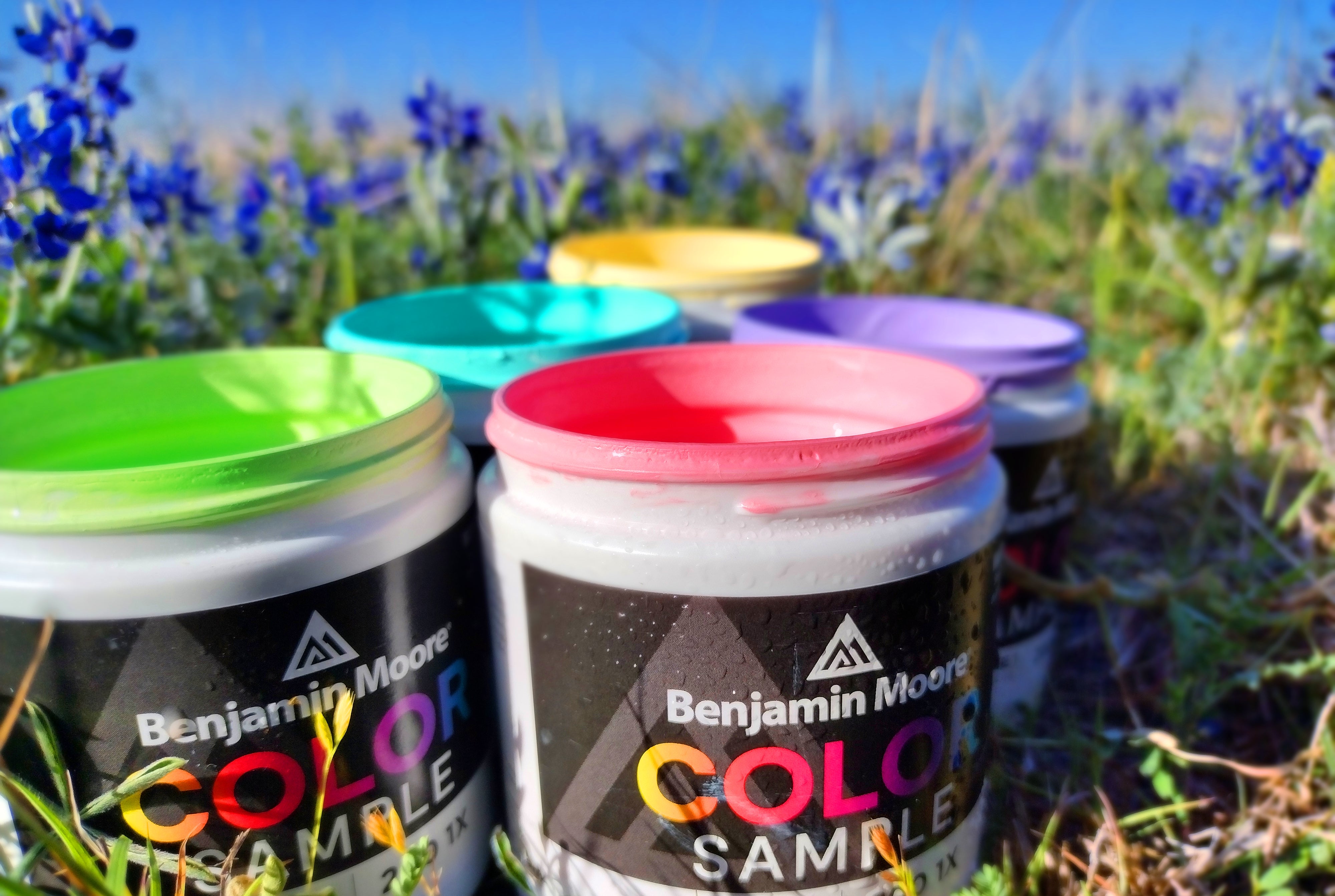 Clement's Paint | Austin's Oldest Benjamin Moore Dealer