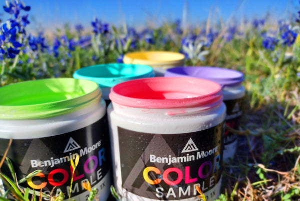 Embrace Spring: Renew Your Home With A Fresh Coat Of Paint! - Clement's ...